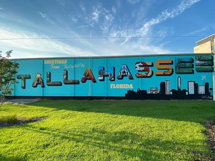 Spacious 3br Near Fsu/famu/tcc - Tallahassee, FL