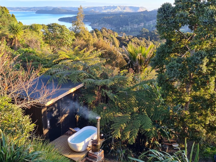 Character Home With Sea And Forest Views - Auckland