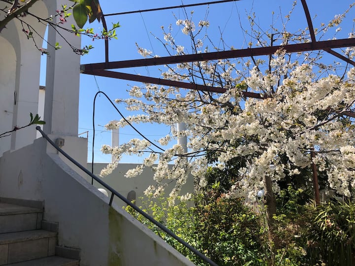 Villetta Con Terrazzo E Giardino - Anacapri