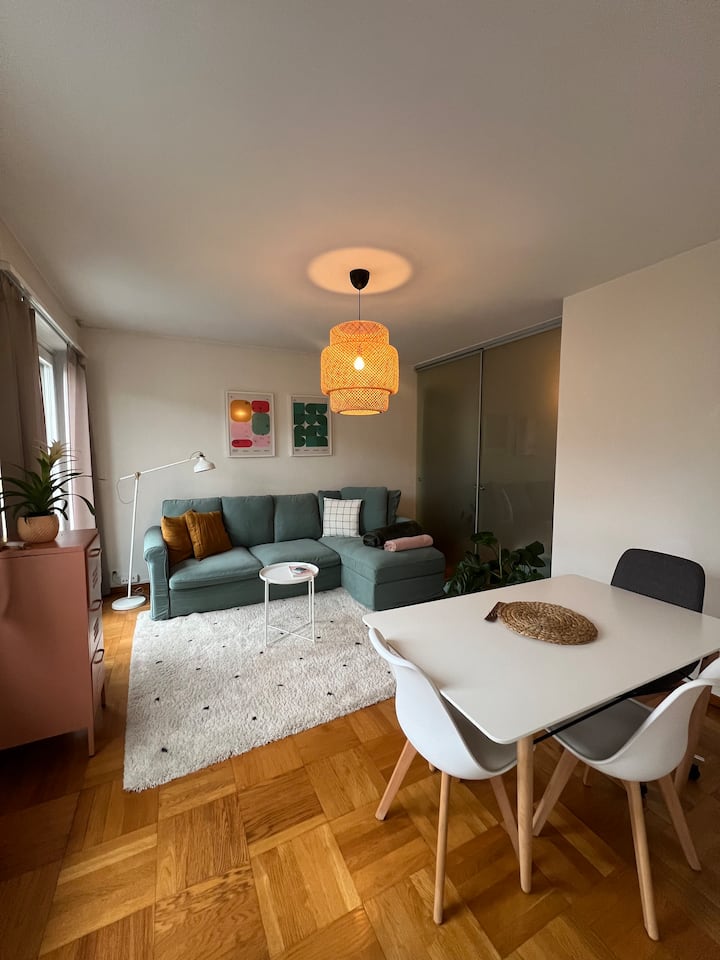 Cozy 1-bedroom Apartment - Genève