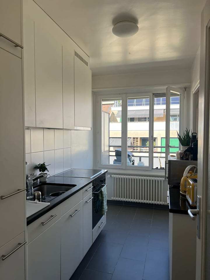 Cozy 1-bedroom Apartment - Geneva