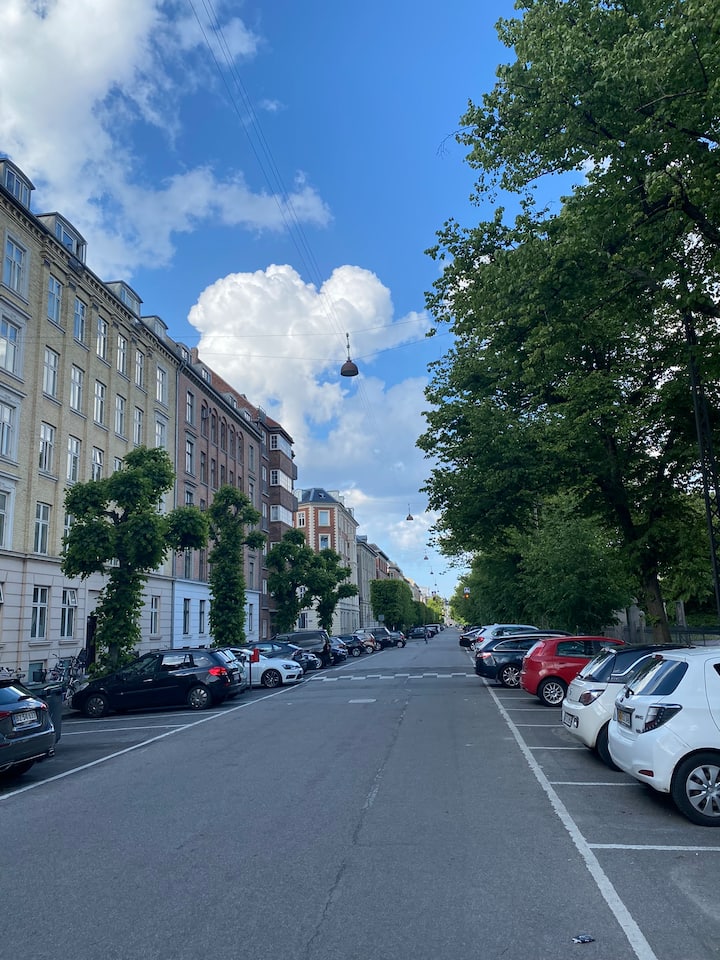 Amazing Location Direc. To Parc And Museum - Kopenhagen