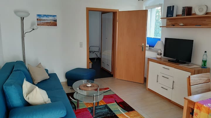 Weber Apartment - Dresden - Dresden