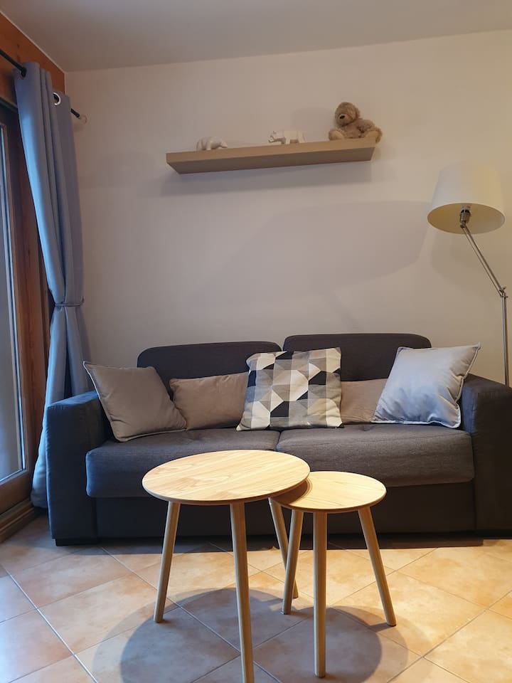 L'appartement De Bisanne 1500 - Albertville