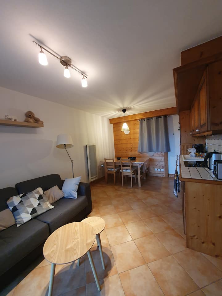 L'appartement De Bisanne 1500 - Ugine