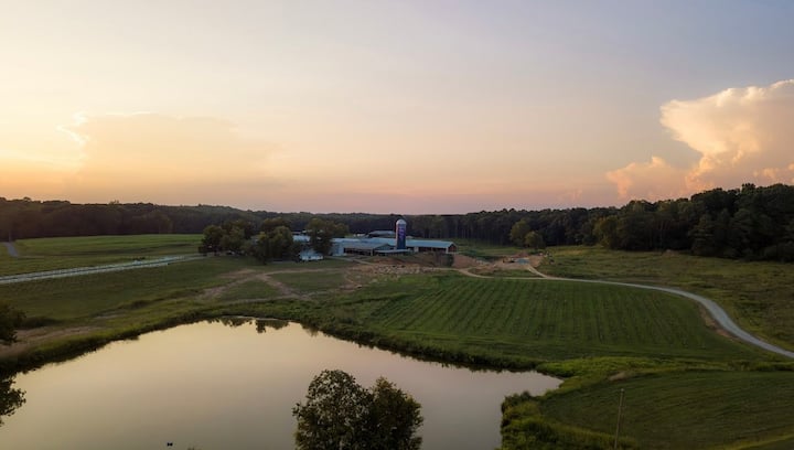 A Farm With A Vineyard View - Hillsborough, NC