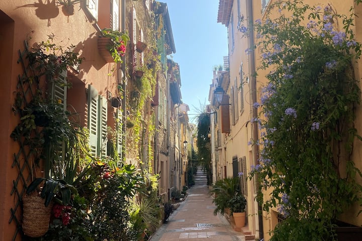 Petite Maison Avec Terrasse. - Marineland - Antibes