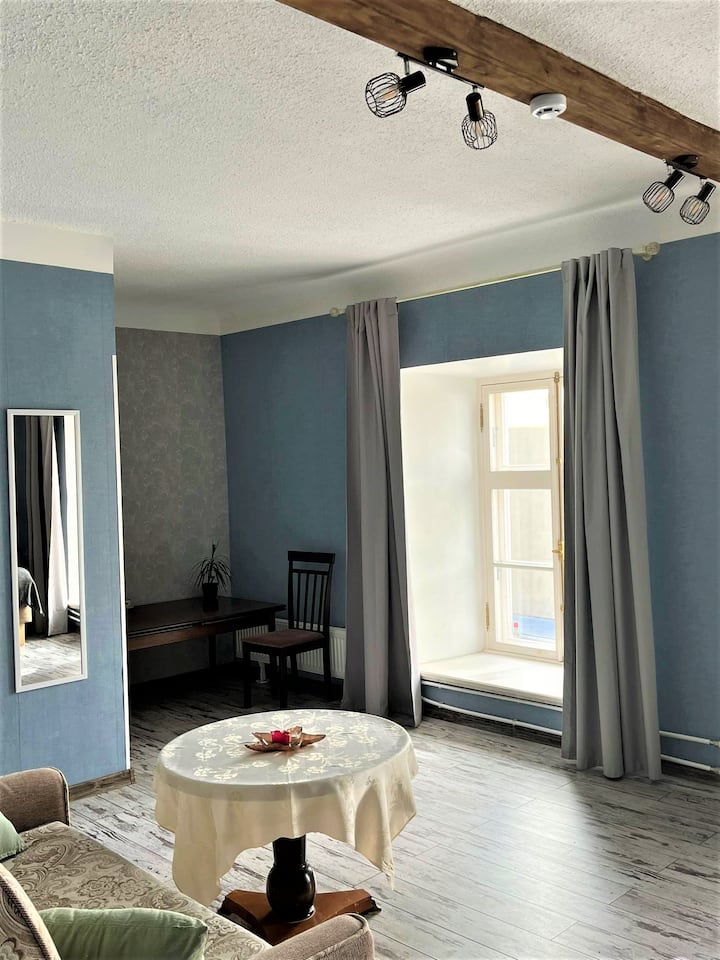 Twin Room In Old Town Guesthouse - タリン