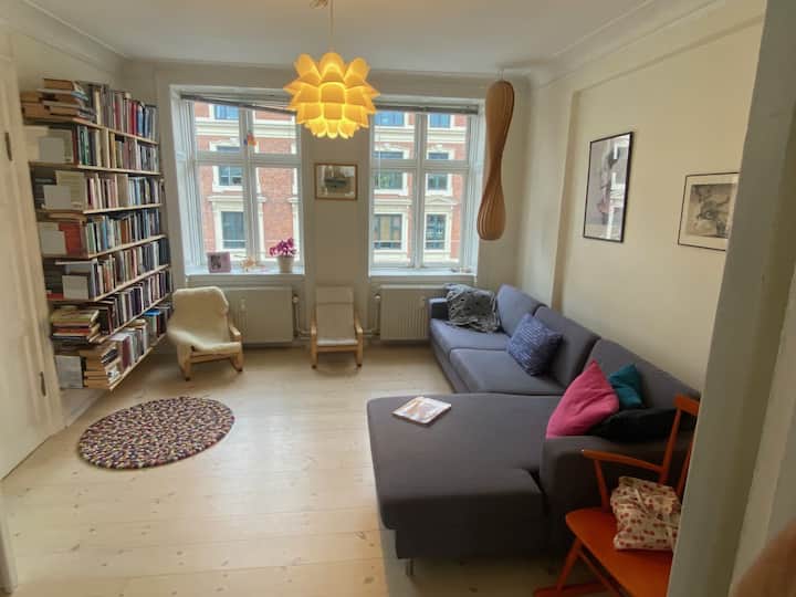 Stor Lejlighed Midt I København - Copenhaguen