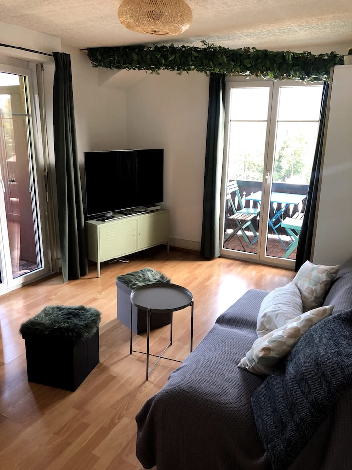 Charmant Studio Idéalement Situé - Villars-sur-Ollon