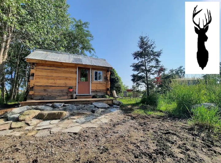 Cabin And Hunting Property - Goderich