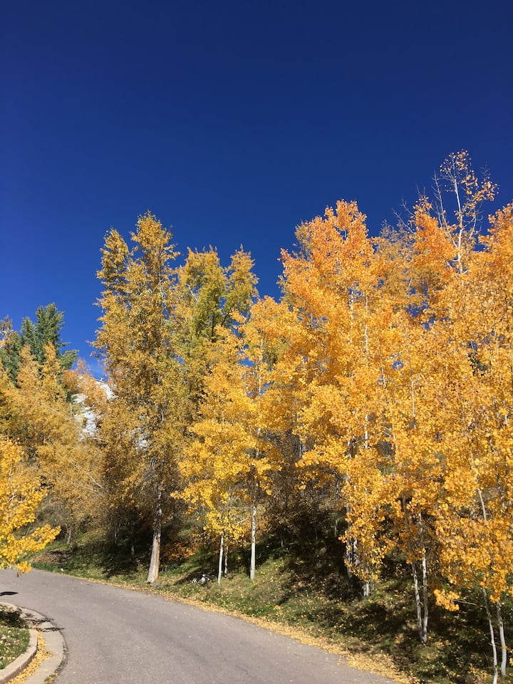 6 Home-aspen Highlands, Gym, Hot Tub, Pool Table - Aspen, CO