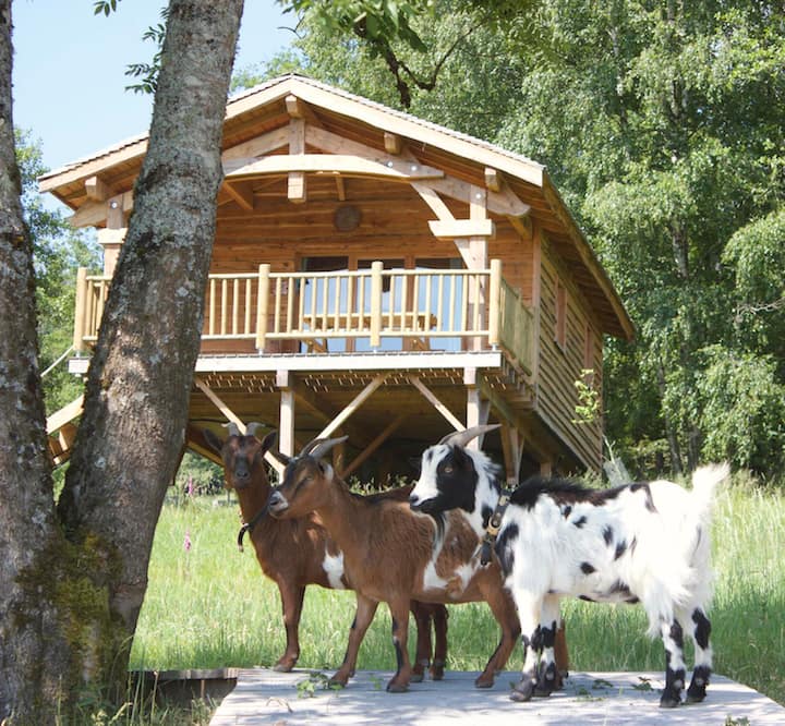 Cabane Somnambule - Remiremont