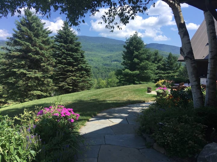 Luxury Mtn Home Views/easy Access/hypo Dogs Ok - Stowe, VT