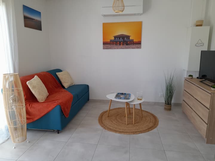 Studio Avec Terrasse Aux Amoureux Du Bassin - Gujan-Mestras