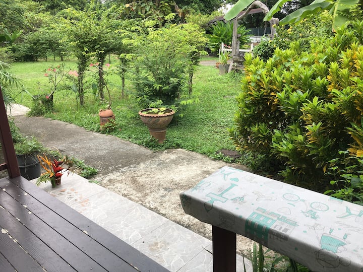 Single Adorable Unit - Chiang Mai, Thailand