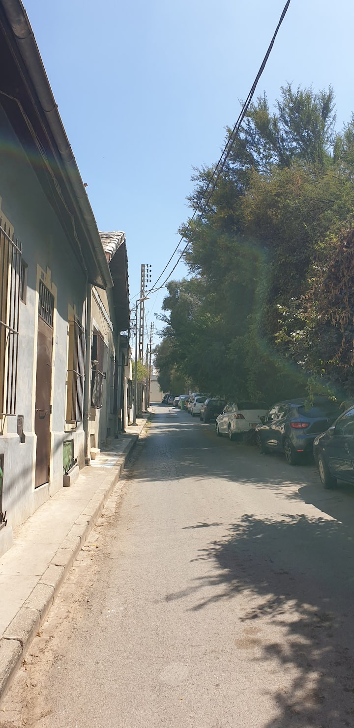 Un Petit Havre De Paix Sur Les Hauteurs D'alger - Argel