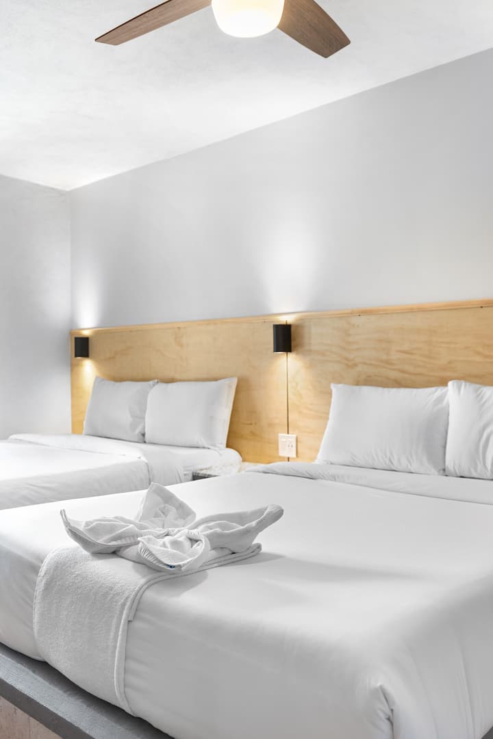 Hermosa Suite Doble - Querétaro
