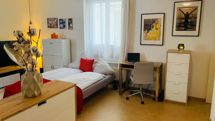 Studio In The Heart Of Zurich - 취리히