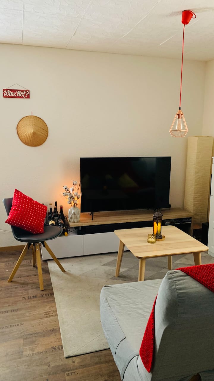Studio In The Heart Of Zurich - Zurich