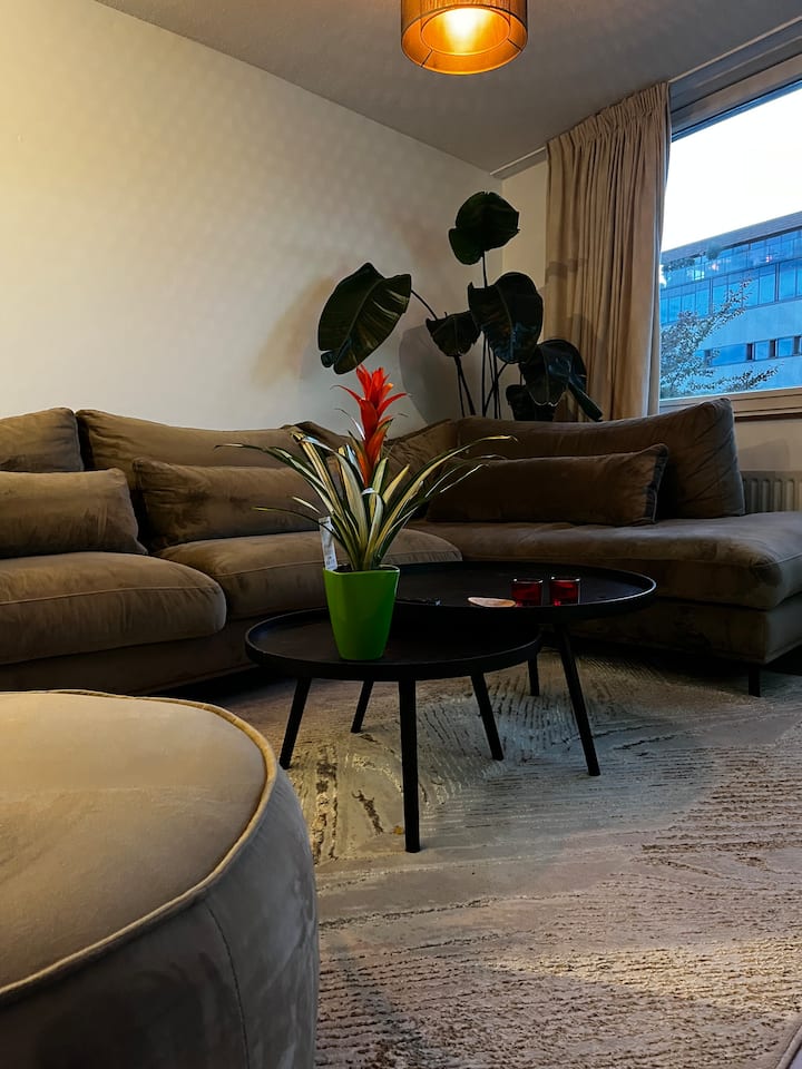Apartment In The City Center Of Amersfoort - Amersfoort