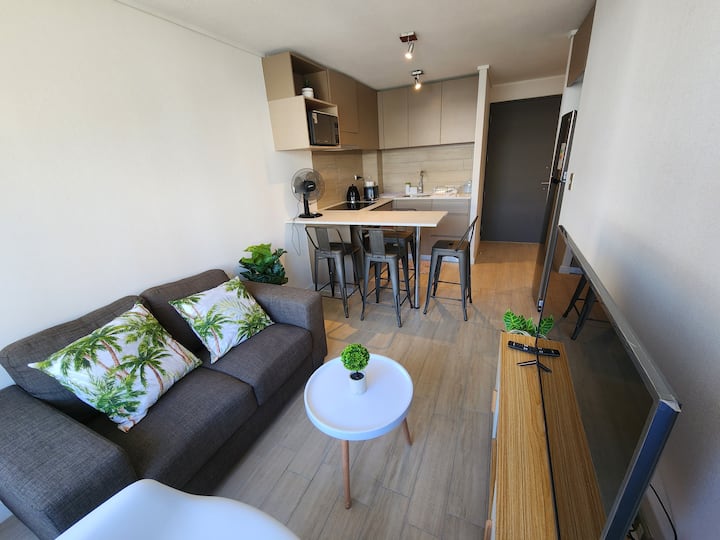 Dos Departamentos, Ideal Para 8 Personas En Total - Santiago