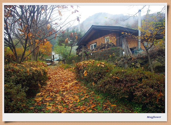 숲 속 작은 황토집 - 옥천군