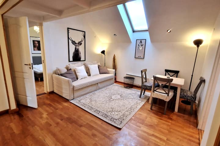 Tyzenl Luxury Vilnius Apartment - Vilnius