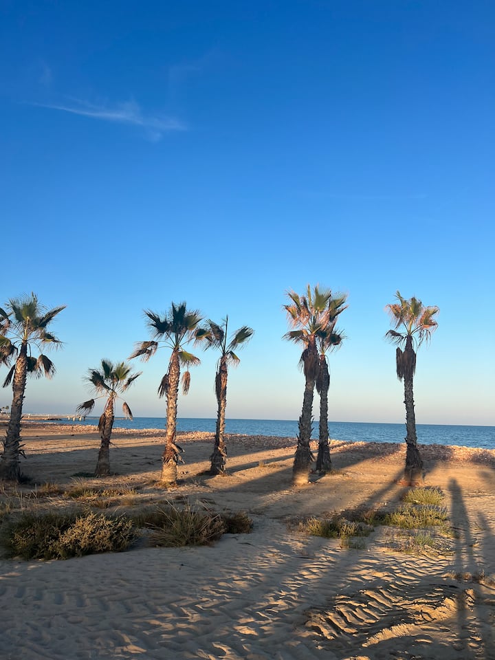 Wohnung In Chilches : Vt-43544-cs - Moncofa