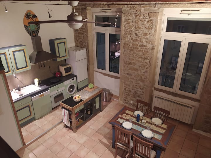 Charmant Appartement Type Canut - Lyon