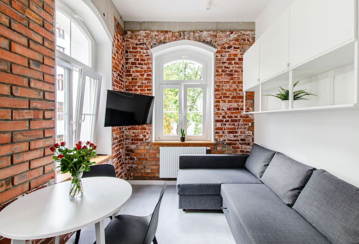 New Soft Loft In The City Center. - Wrocław