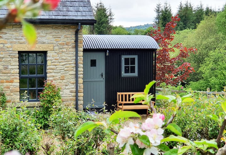 Black Pig Lodge - Fermanagh