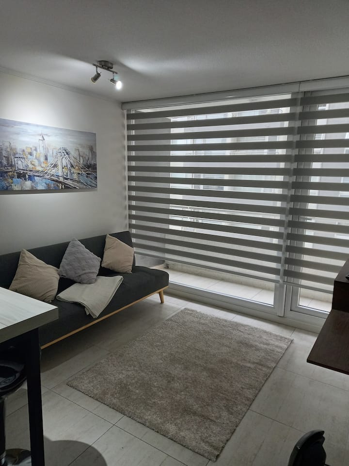 Cómodo Depto En El Centro - Concepción