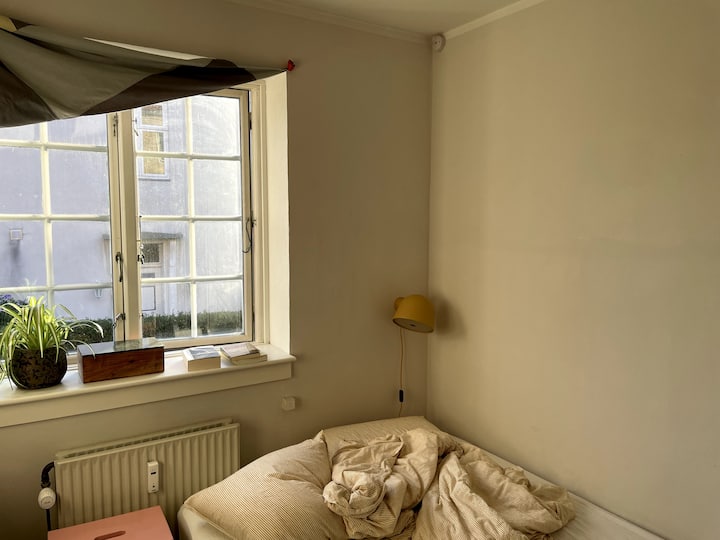 Rolig Lejlighed Til Storbyferie - Copenhague