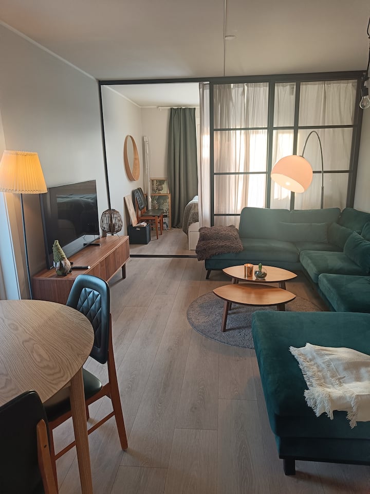 Pen 3 Roms Leilighet På Bjerke! - Oslo