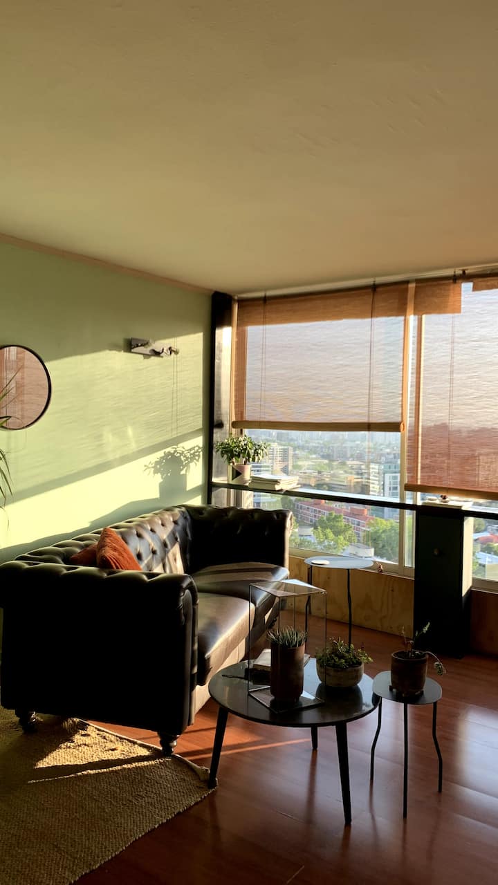 A Nice Place In Providencia - Providencia, Chile