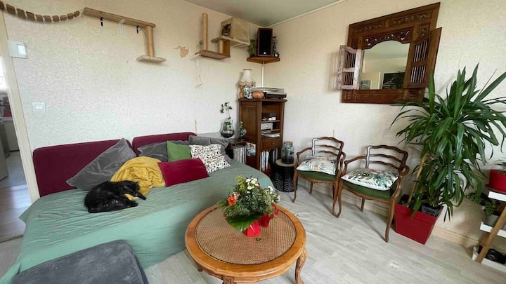 Saouzelong 10 Minutes Du Centre Ville - Toulouse