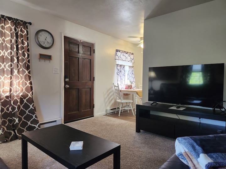 Great Cozy Apartment - Roanoke