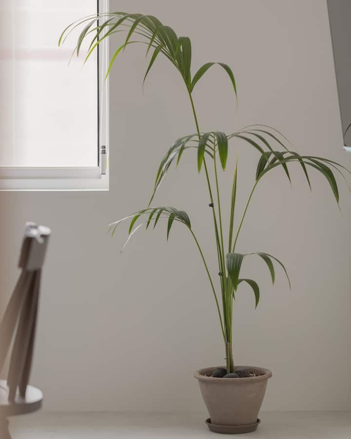 Brick 302 - 오창읍