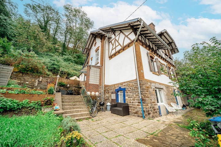 Wagnerstays Badems Historic Villawhirpool/billiard - Bad Ems
