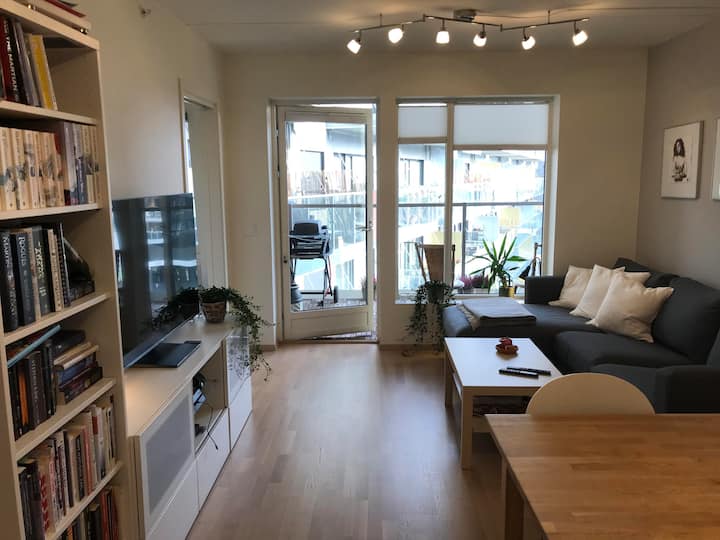 Hyggelig Toroms På Ensjø, Oslo - オスロ