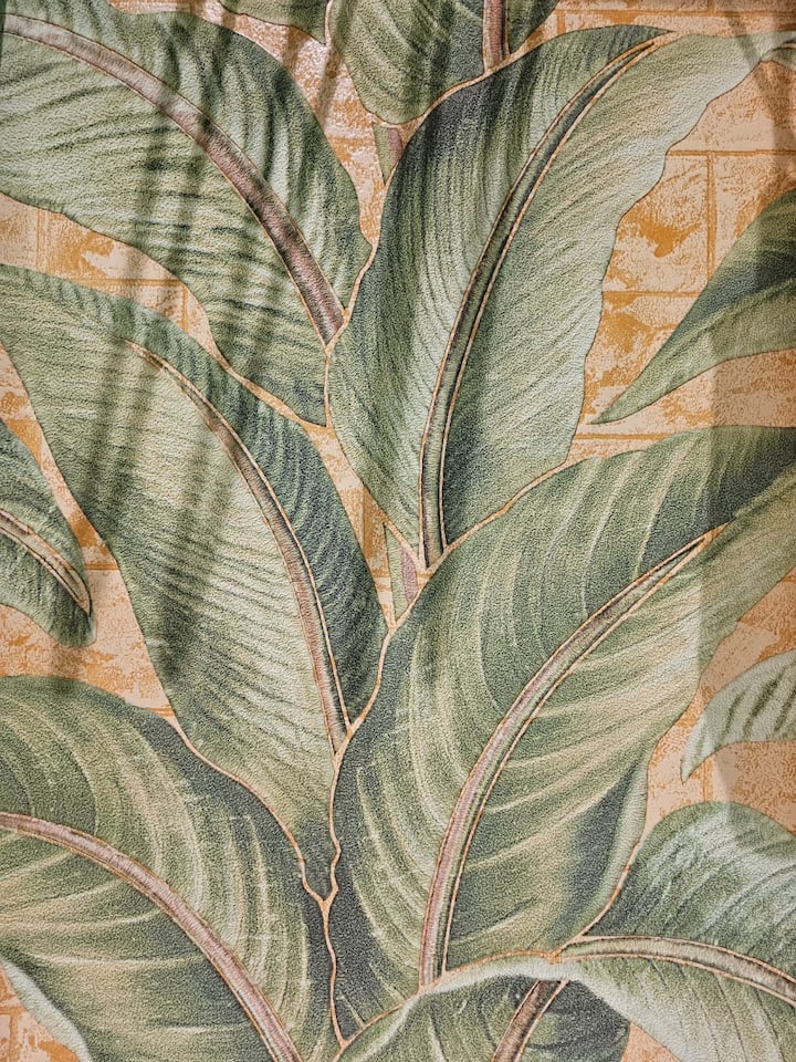 Amazonias (Hospedaje Casa24) - Puerto Iguazú