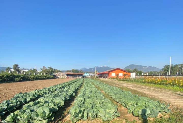Thongurai Homestay@measai ทองอุไรโฮมสเตย์ - Mae Sai