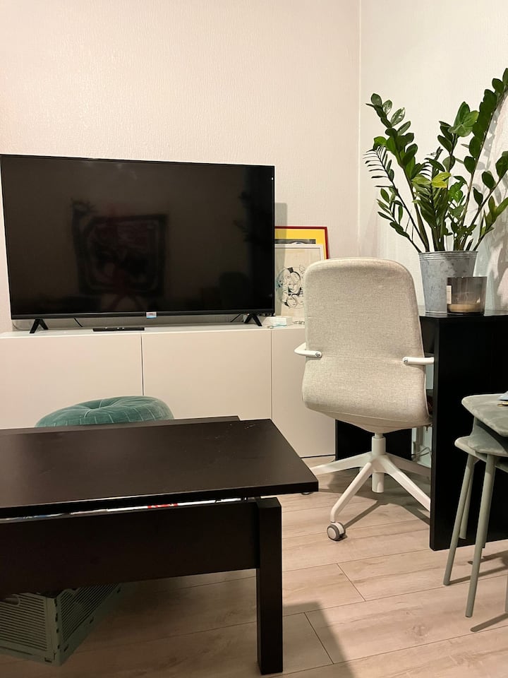 1 Bedroom + 1 Living Room - Paris