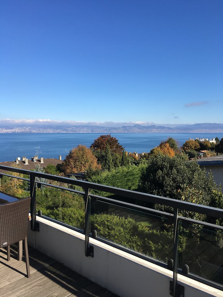 Magnifique Appartement Evian-les-bains - Évian-les-Bains