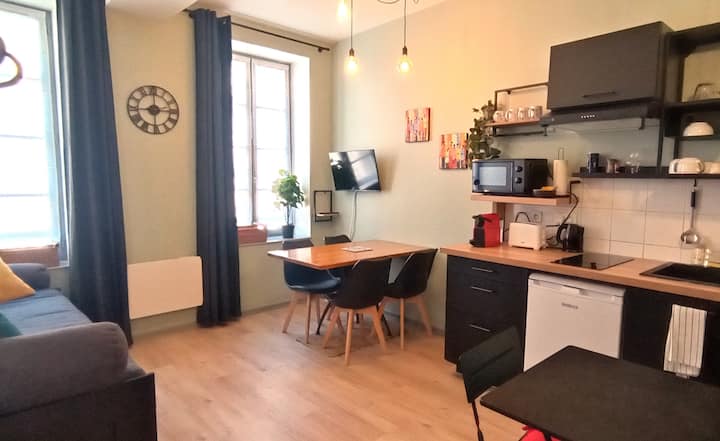 Appartement Proche Cathédrale - Albi