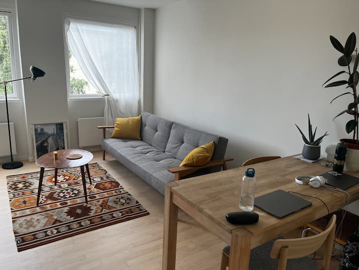 Cozy Designer Flat - Copenhage