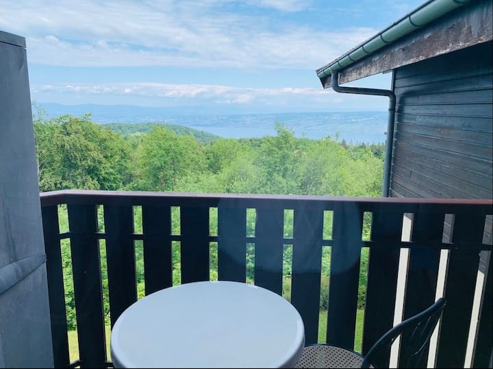 Appartement Vue Sur Le Lac Léman - Thollon-les-Mémises