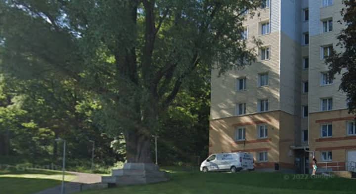 A Very Nice Cozy Apartment - Landvetter