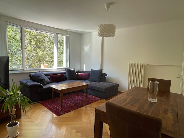 Logement Lumineux Et Central ! - Lausanne